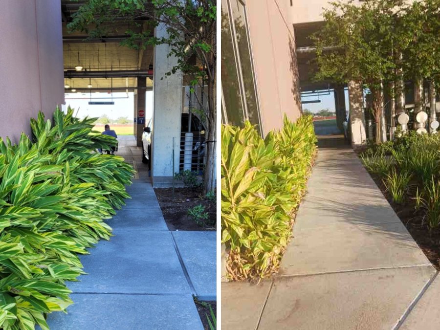 Quick work solves patient access issue in League City