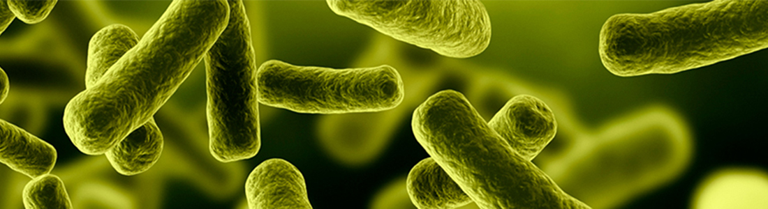 Microbiome-Antibiotic Resistance Initiative | Institute for Human ...