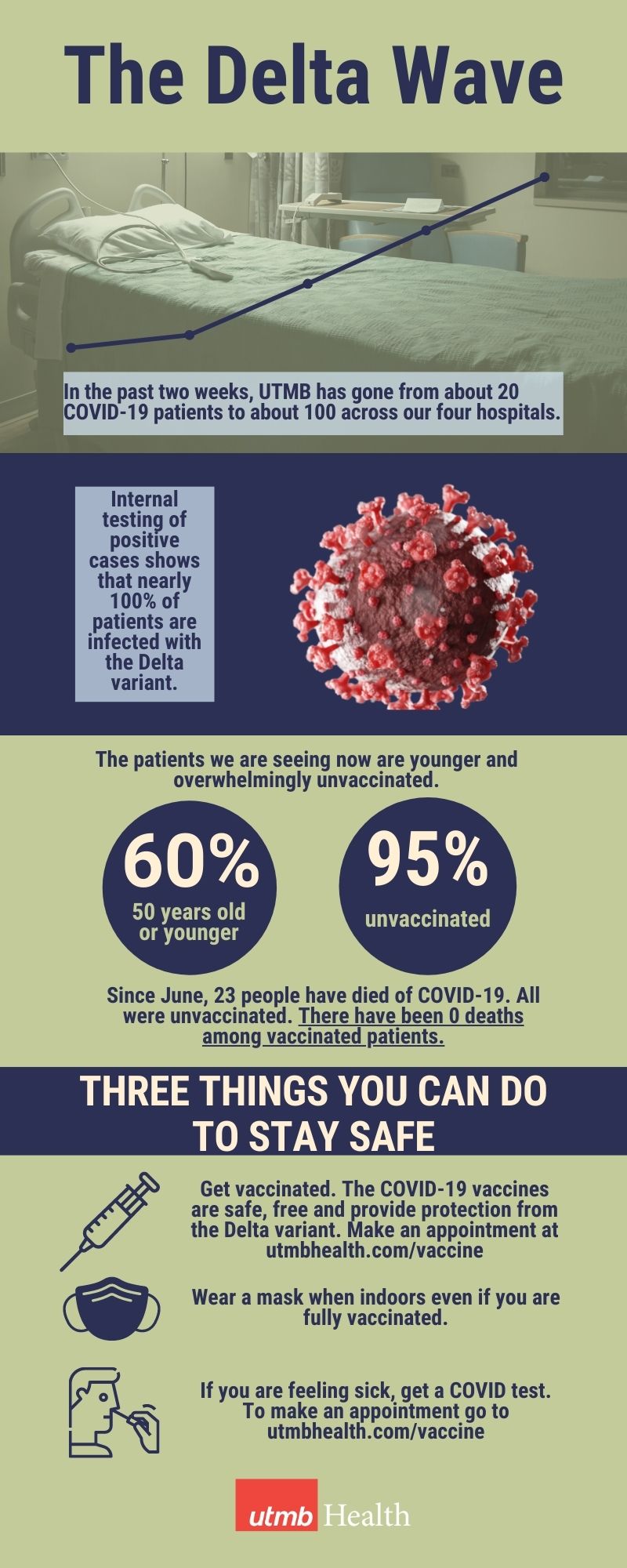 The Delta Wave: Important Info