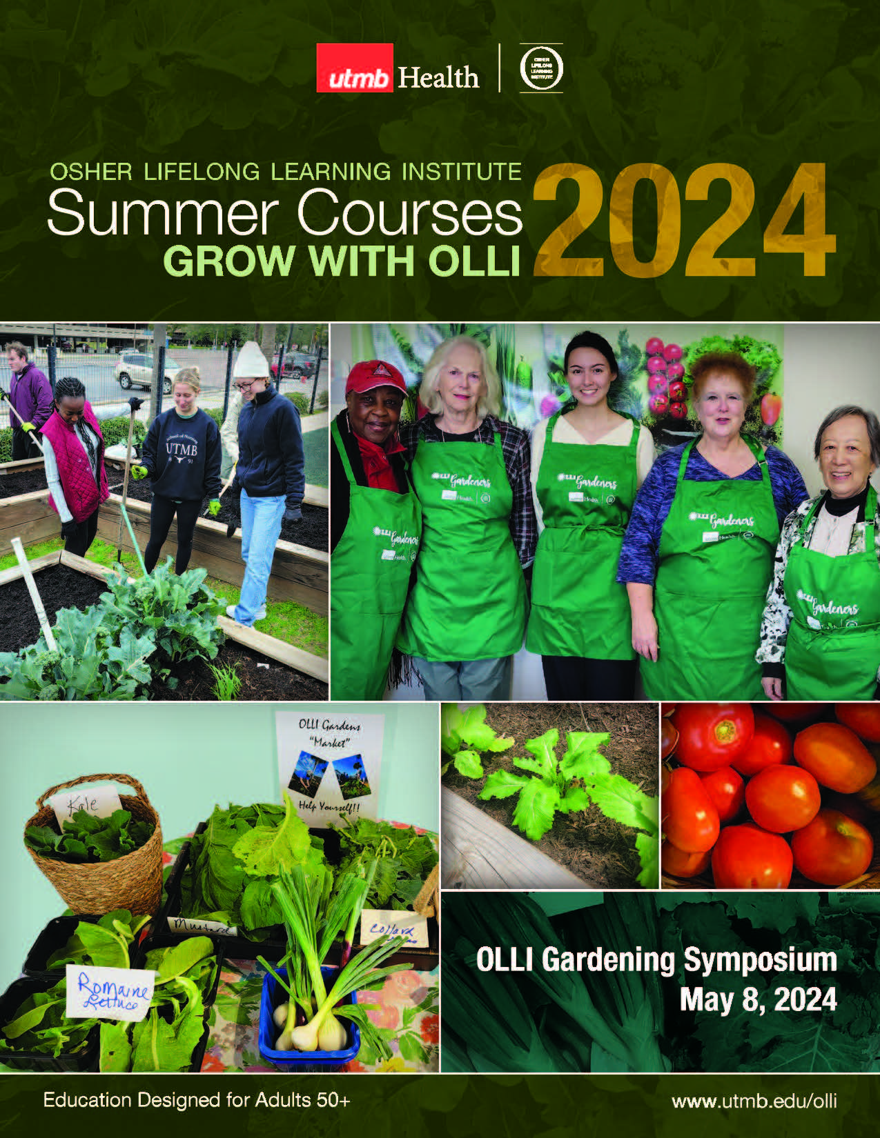 Welcome to Osher Lifelong Learning Institute at UTMB